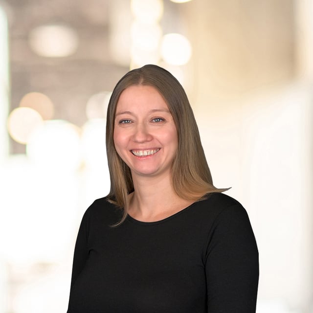 Real Estate Systems Implementation Group Team Members