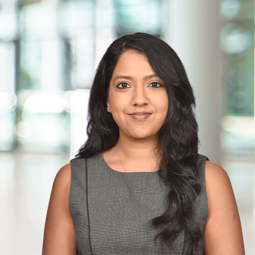 Real Estate Systems Implementation Group Team Members